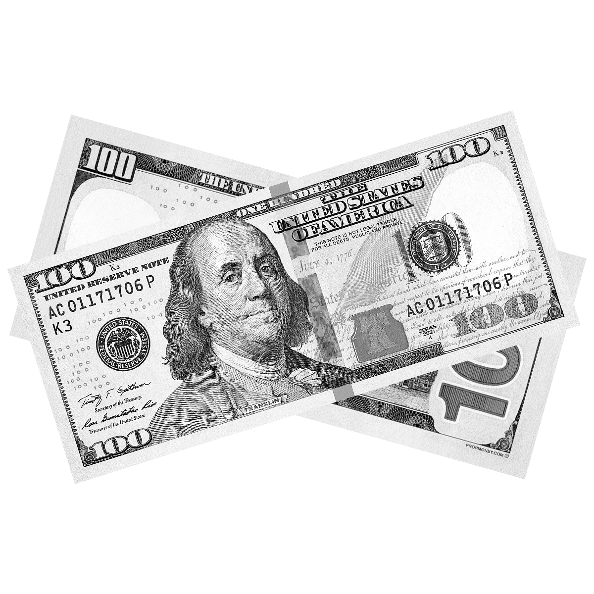 $100 New Series Monochrome Gray Money Bills